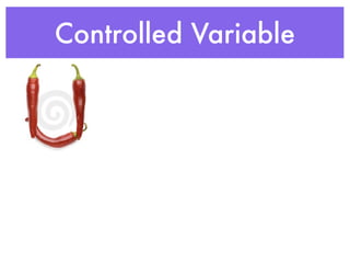 Experiments | KEY | Science