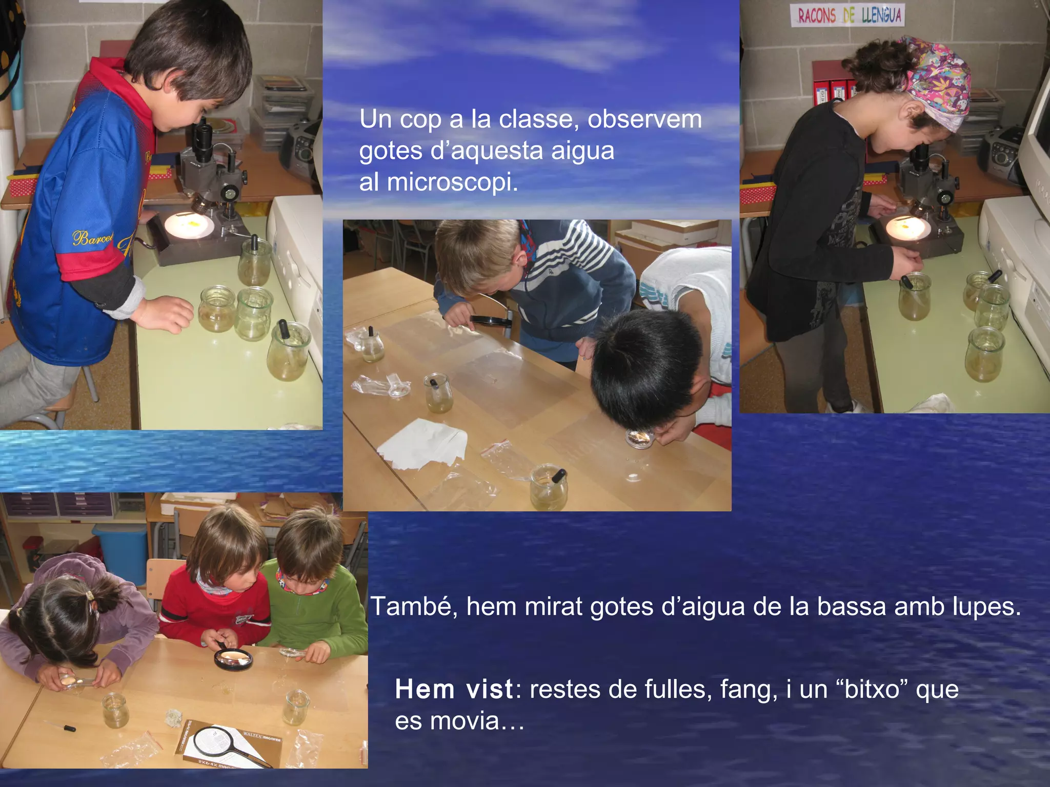 Experiments amb aigua | PPT