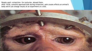 Experiments And Tests On Animals (Case study) | PPT