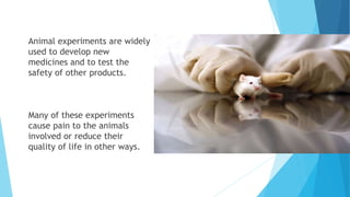 Experiments And Tests On Animals (Case study) | PPT