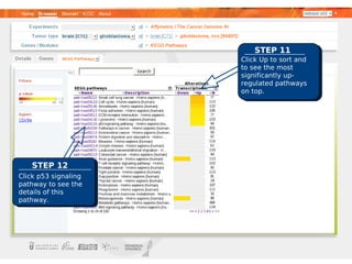 Experiment Search | PDF