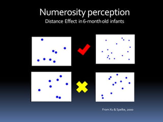 Experiments on Number | PPT