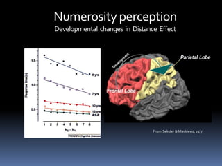 Experiments on Number | PPT