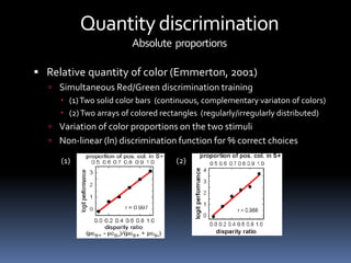 Experiments on Number | PPT