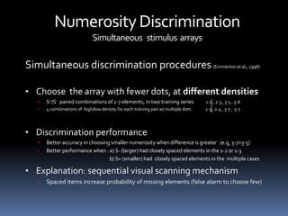 Experiments on Number | PPT