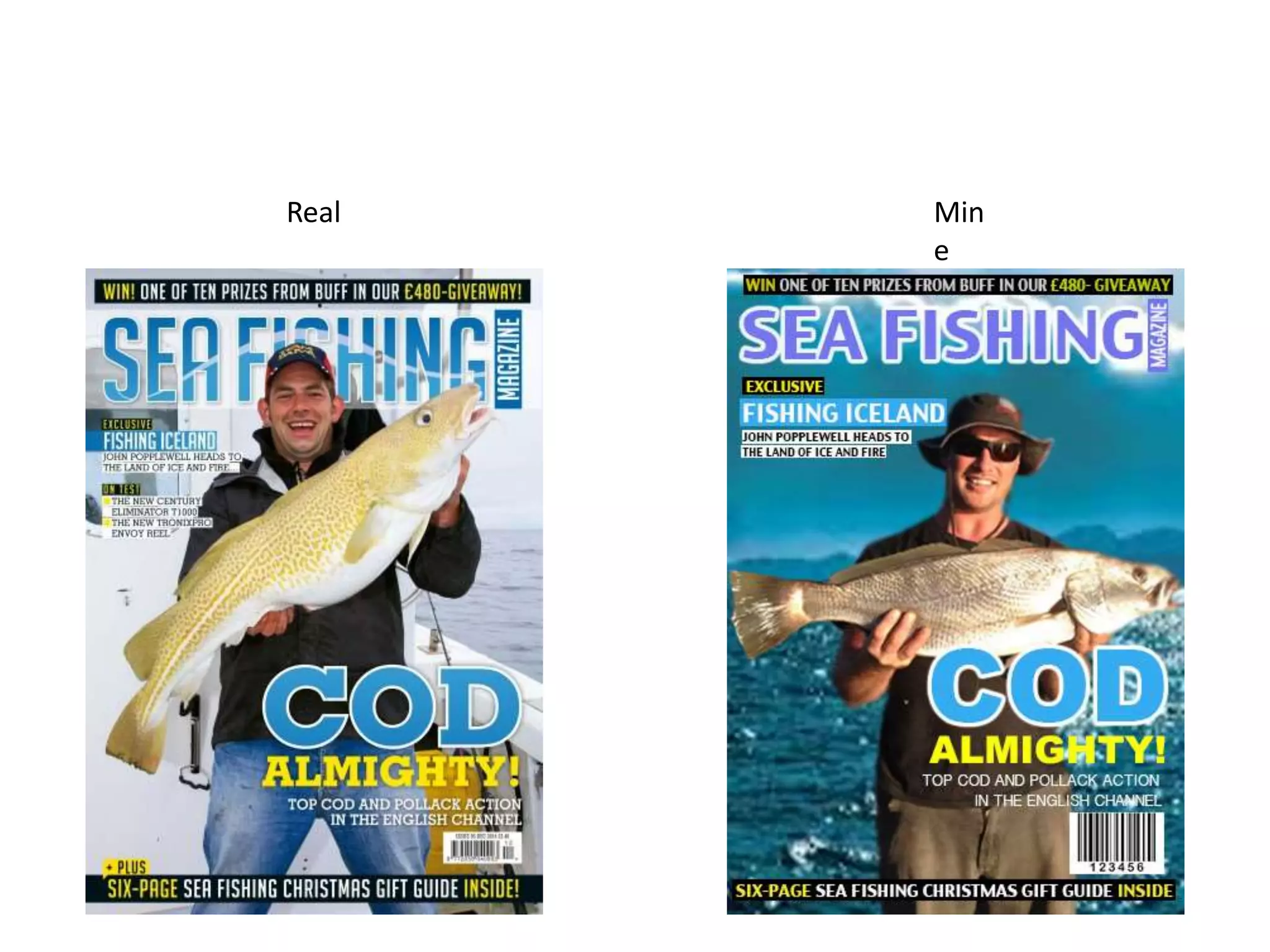 Experiment visual and process | PPTX