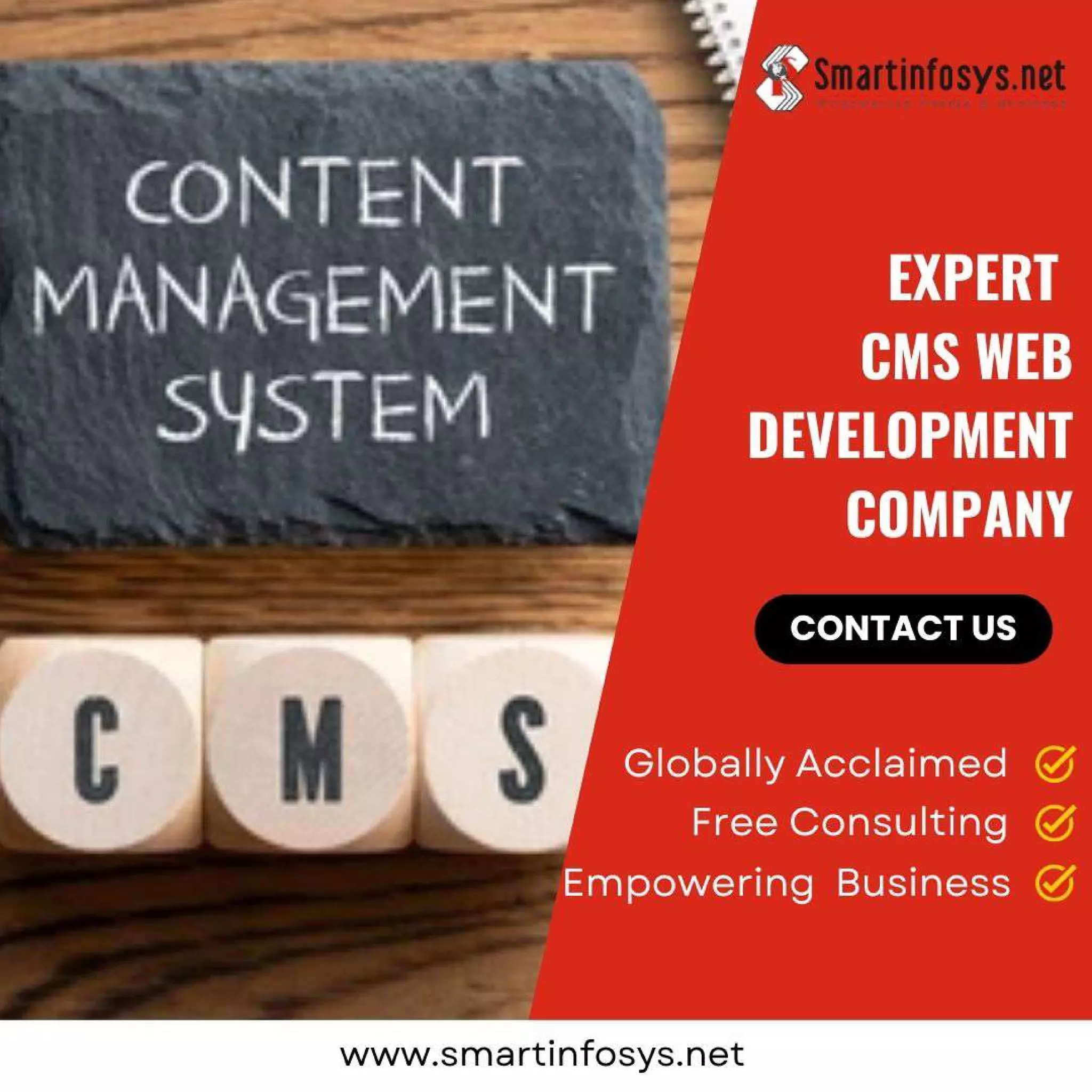 Expert CMS web Development Company.pdf