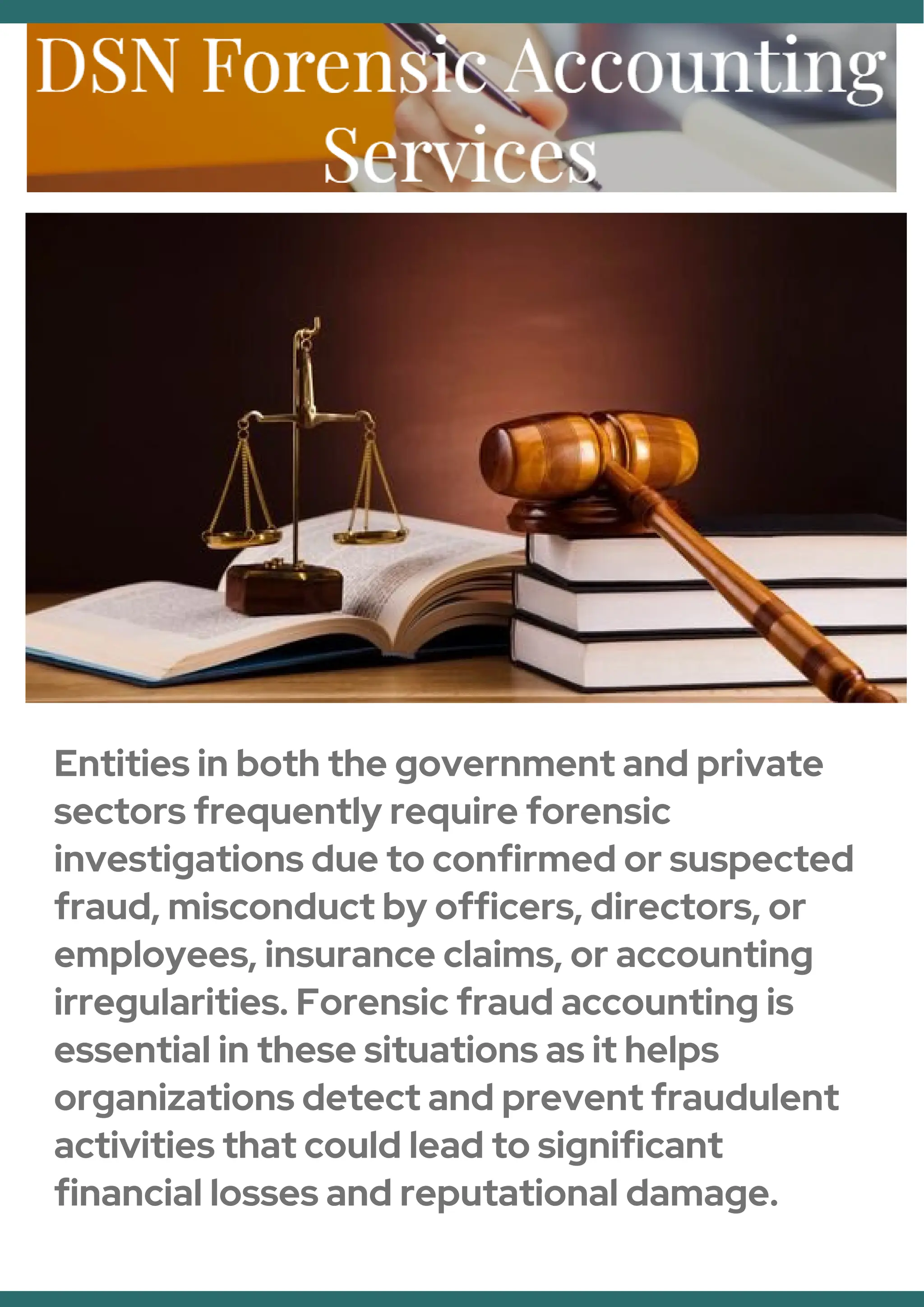 Expert Financial Forensic Investigation Services DSN Forensic | PDF ...