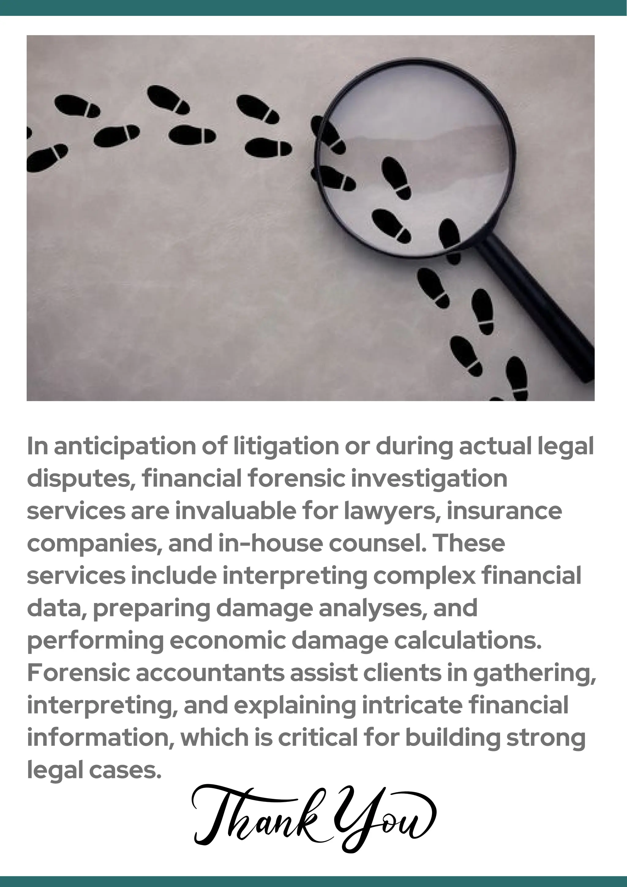 Expert Financial Forensic Investigation Services DSN Forensic | PDF ...