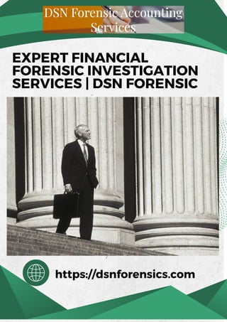Expert Financial Forensic Investigation Services DSN Forensic | PDF ...