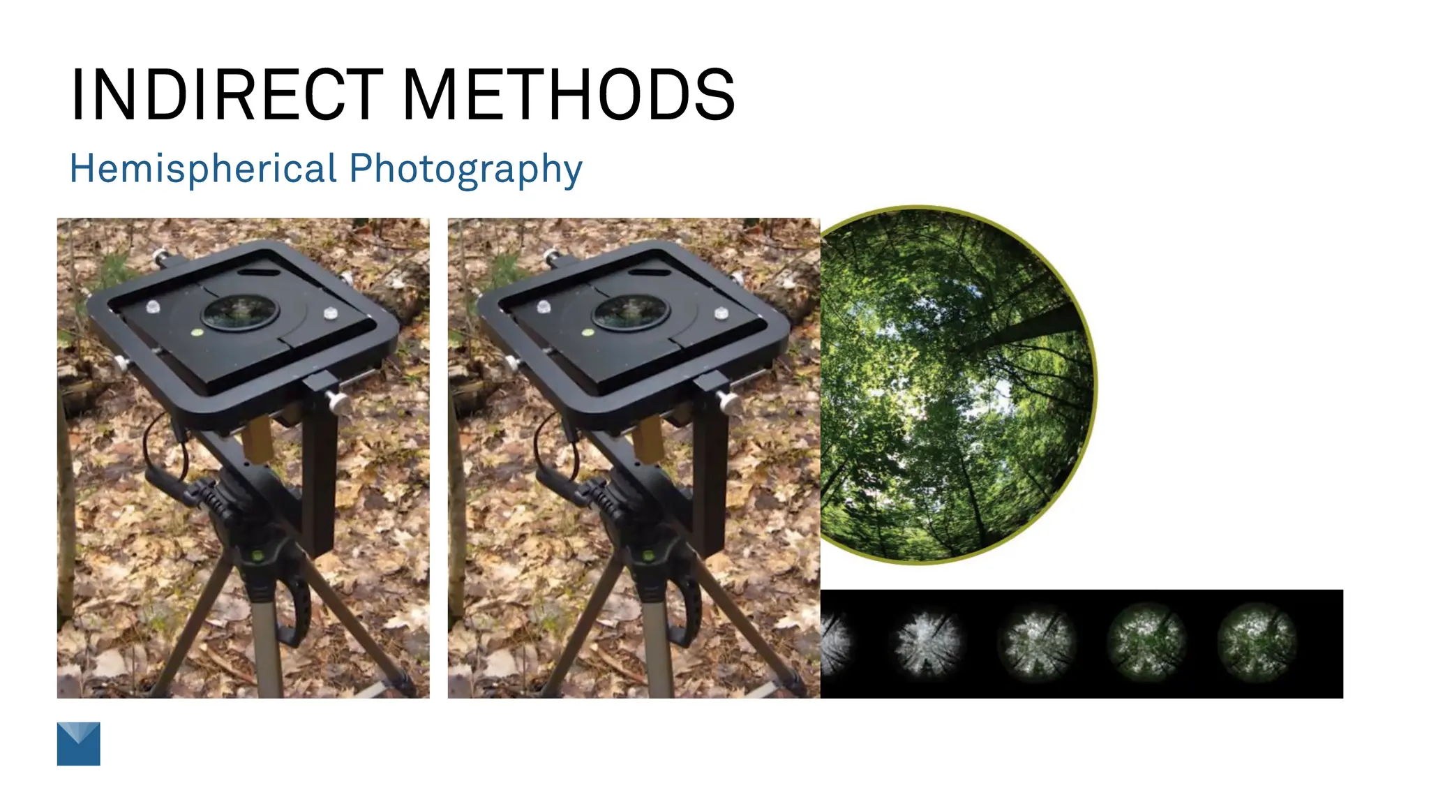 The Complete Guide to Leaf Area Index | PDF