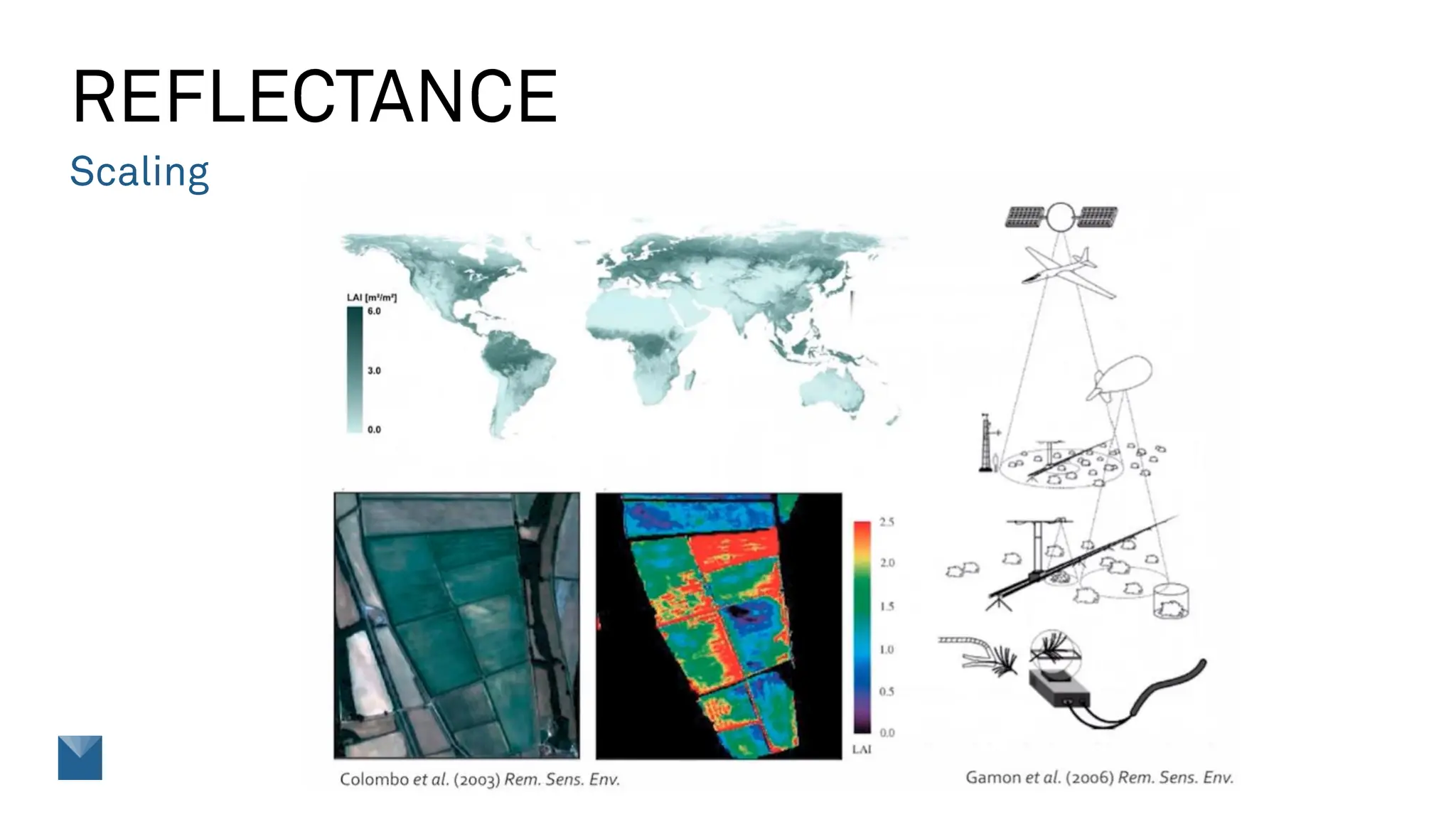 The Complete Guide to Leaf Area Index | PDF