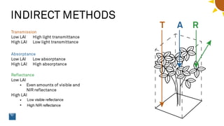 The Complete Guide to Leaf Area Index | PDF