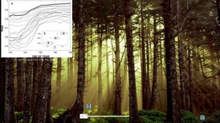 The Complete Guide to Leaf Area Index | PDF