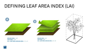 The Complete Guide to Leaf Area Index | PDF