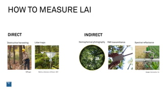 The Complete Guide to Leaf Area Index | PDF