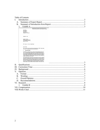 Expert Report | PDF