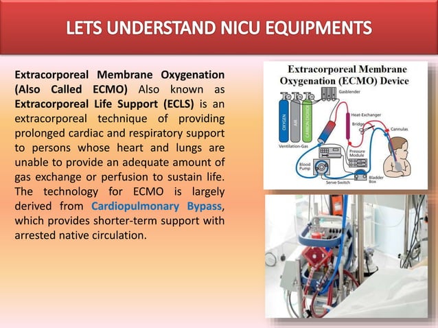 NICU CONCEPTS, STAFFING,PROTOCOLS, PHYSICAL LAYOUT | PPTX | First Aid ...