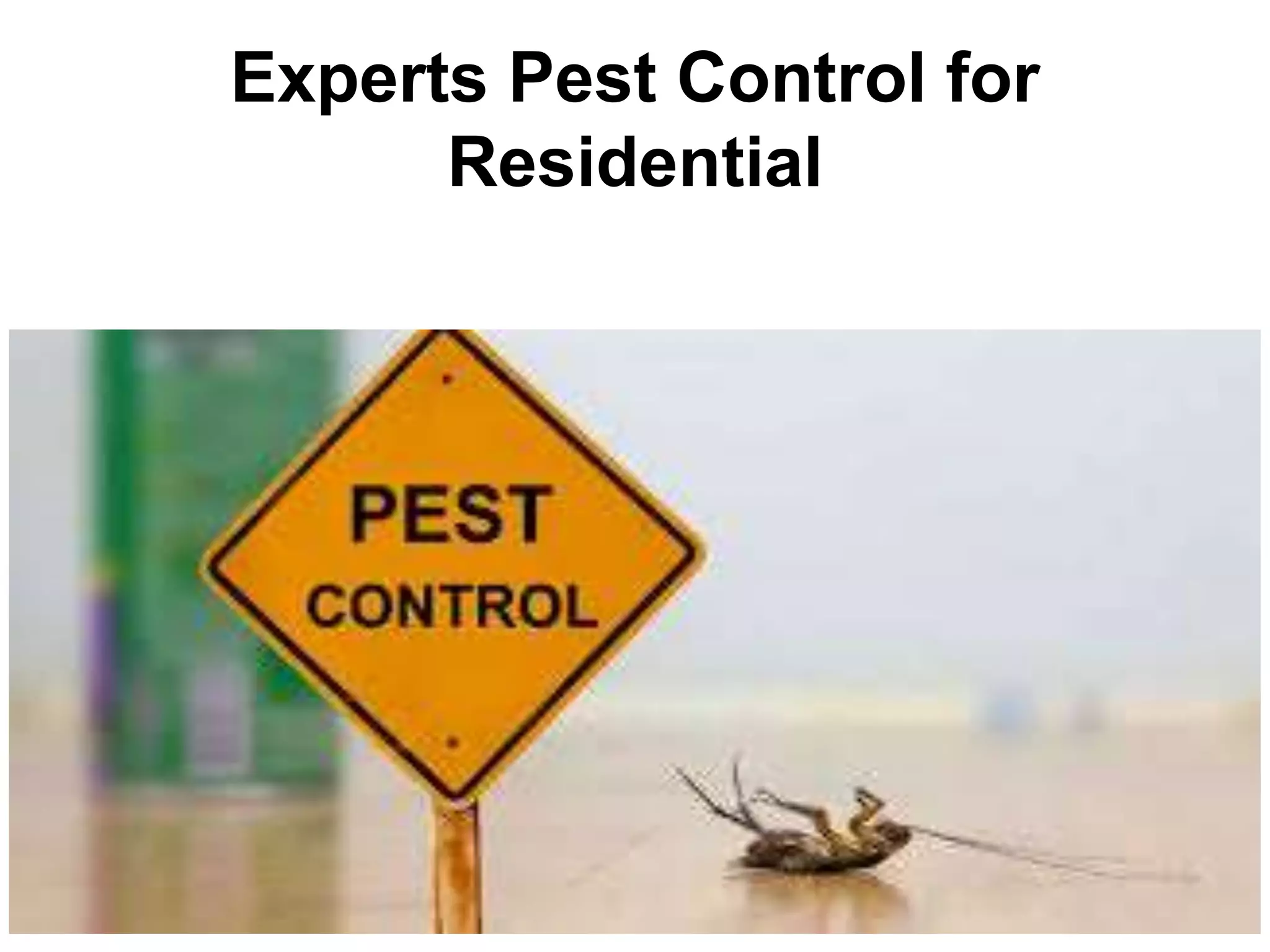 Experts Pest Control for Residential | PPT | Free Download