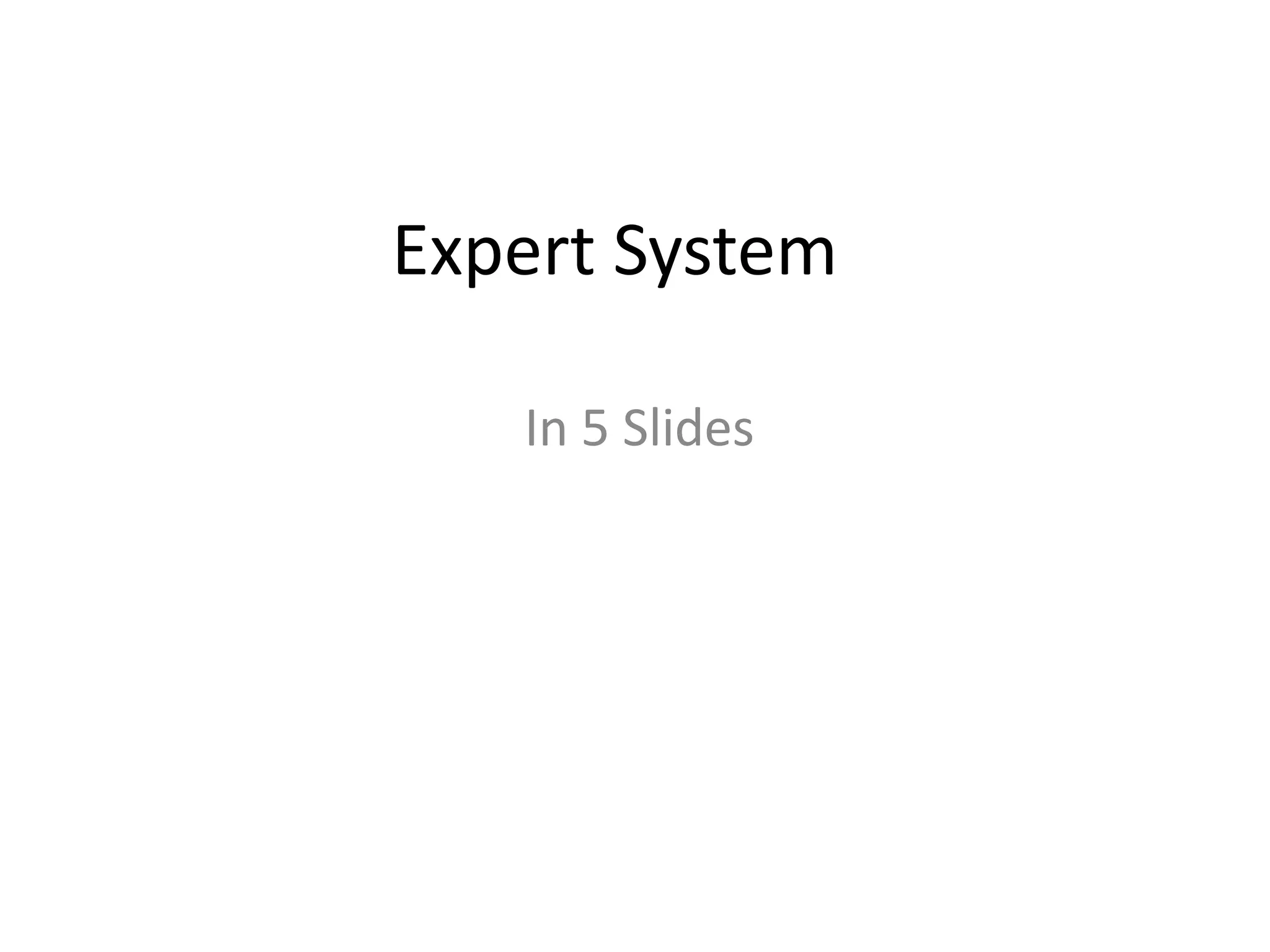 Expert system | PPSX