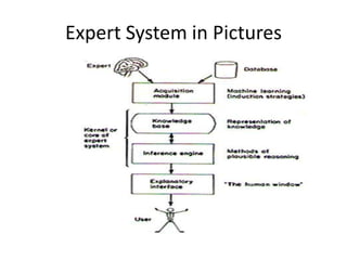 Expert system | PPSX