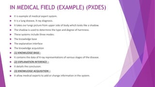 Expert system | PPT