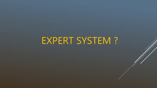 Expert system & e commerce | PPSX