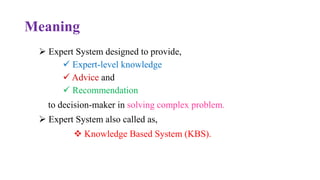 Expert System & MIS.pptx