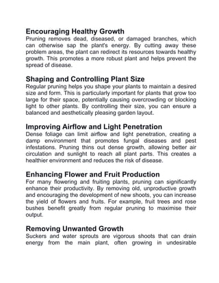 Expert Tips for Pruning Your Plants.pdf. | PDF