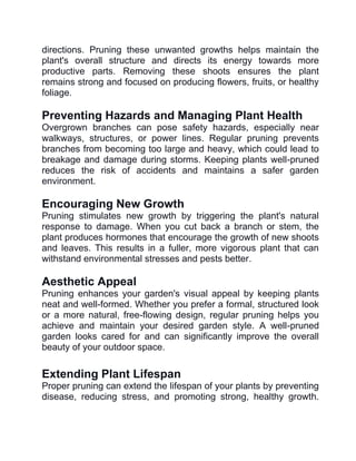 Expert Tips for Pruning Your Plants.pdf. | PDF