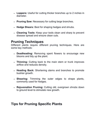 Expert Tips for Pruning Your Plants.pdf. | PDF