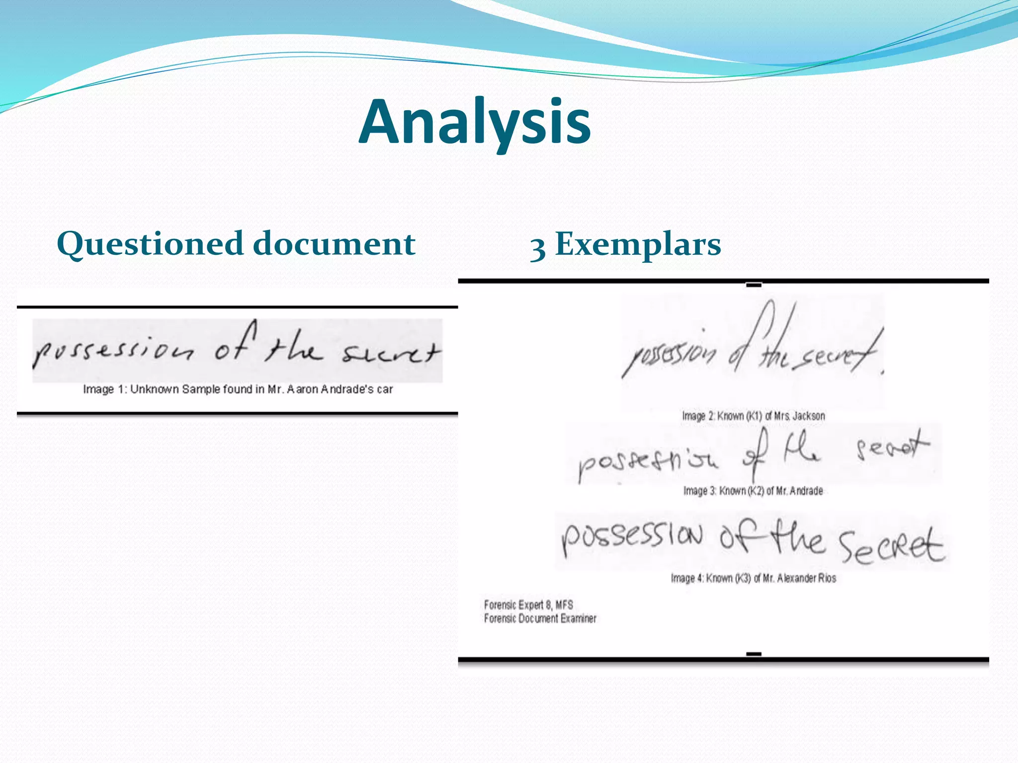 Expert witness testimony | PPTX