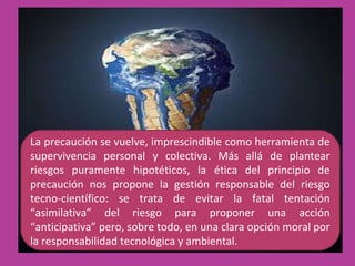 Principio de precaución | PPT