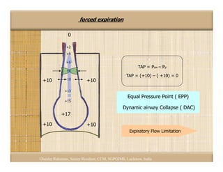 Expiratory flow limitation_diseases | PDF