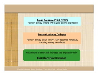 Expiratory flow limitation_diseases | PDF