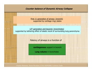 Expiratory flow limitation_diseases | PDF