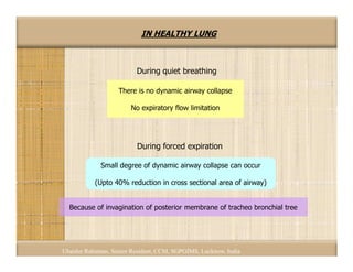 Expiratory flow limitation_diseases | PDF
