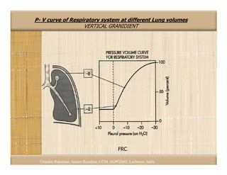 Expiratory flow limitation_diseases | PDF
