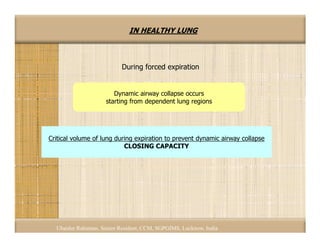 Expiratory flow limitation_diseases | PDF