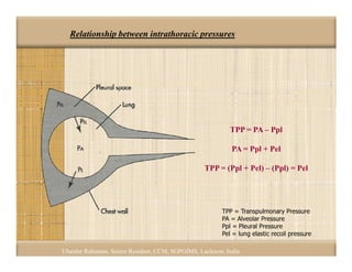Expiratory flow limitation_diseases | PDF