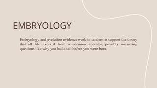 Explain-Evidences-of-Evolution GENERAL BIOLOGY.pptx