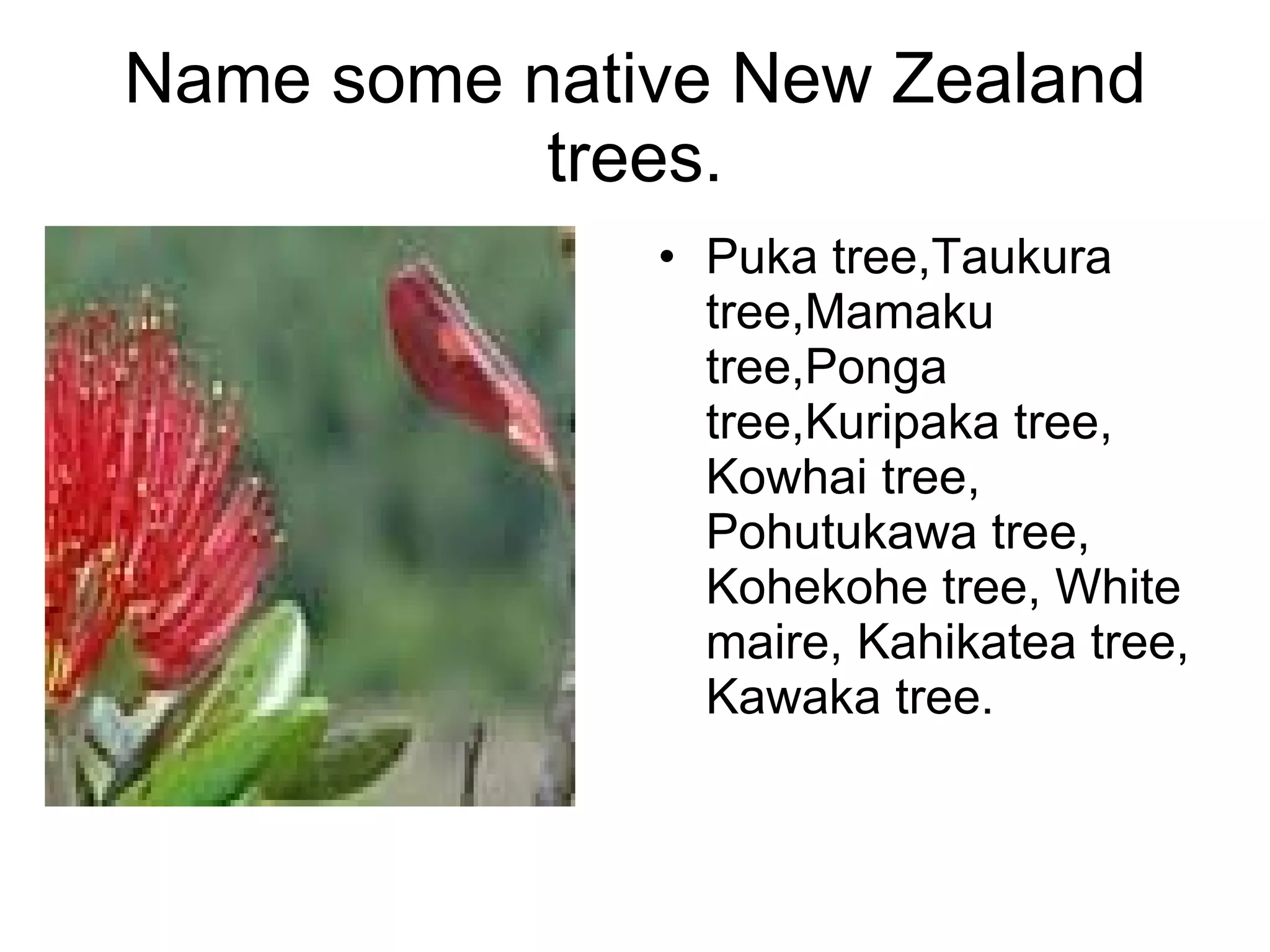 Explain The Life Cycle Of A Tree | PPT