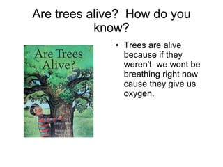Explain The Life Cycle Of A Tree | PPT