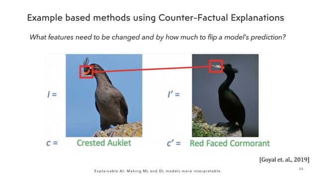 Explainable Ai Making Ml And Dl Models More Interpretable Ppt 0299