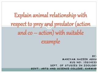 animal relationship w.r.t prey and predator | PPTX