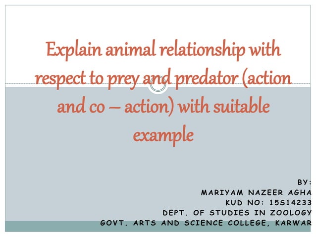 animal relationship w.r.t prey and predator | PPTX | Biological ...