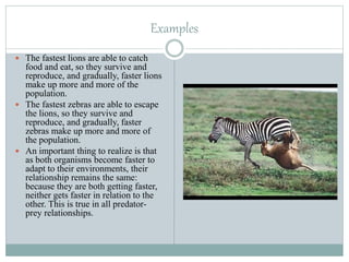 animal relationship w.r.t prey and predator | PPTX