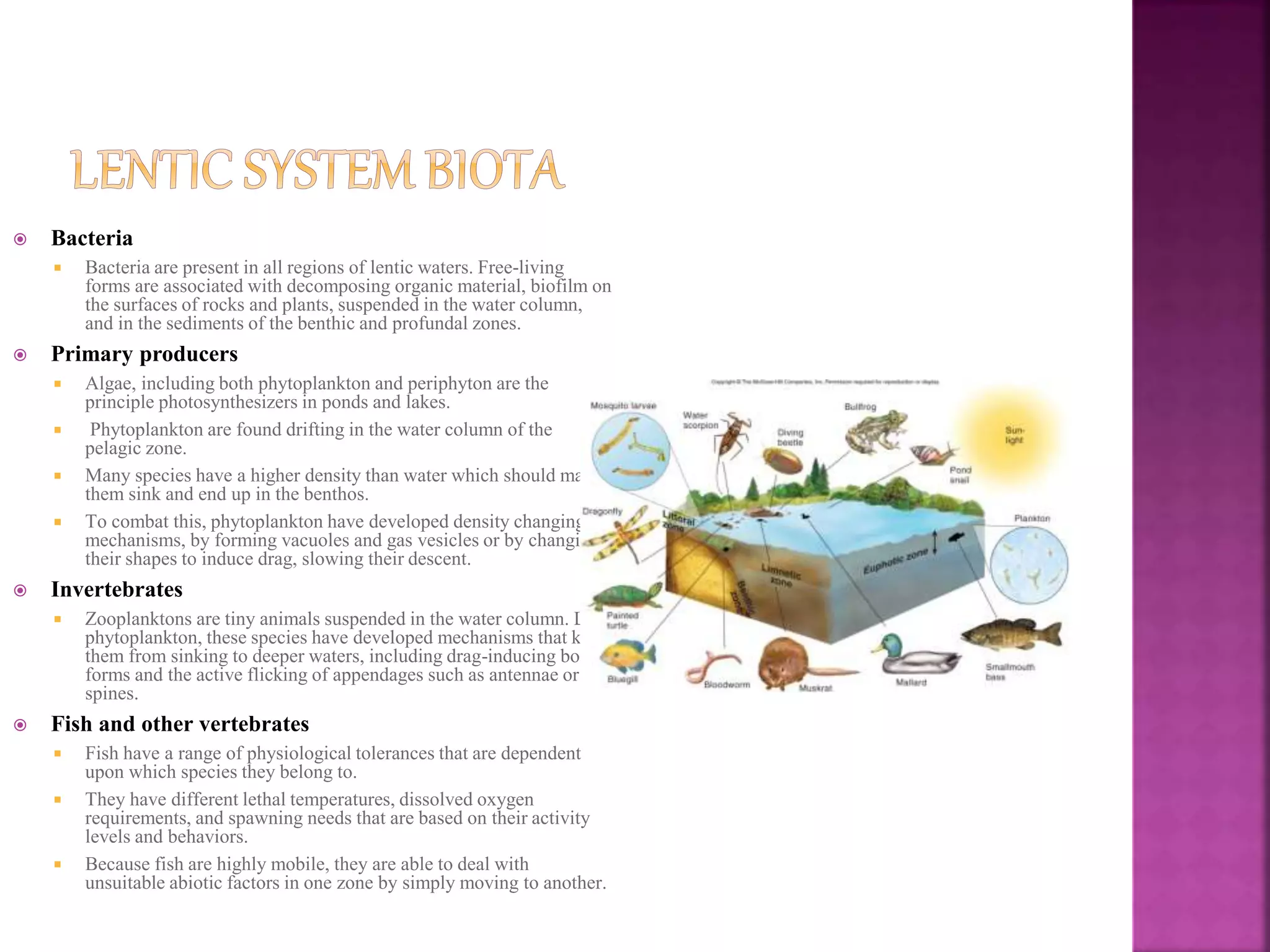 freshwater habitat with ecological classification of freshwater animals ...