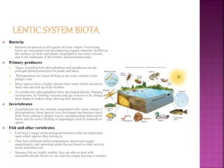 freshwater habitat with ecological classification of freshwater animals ...