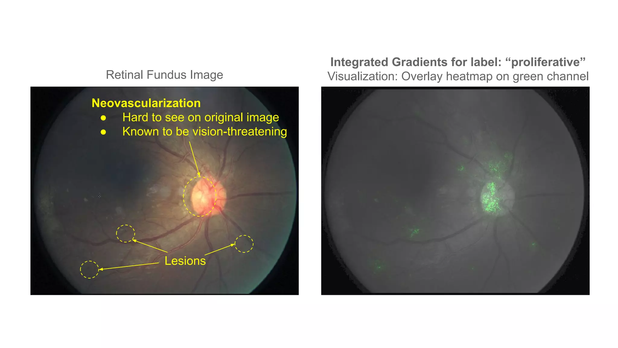 ExplainingMLModels.pdf